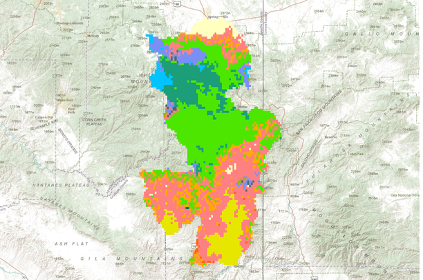 Vegetation Types (1971-2000) for the Apache-Sitgreaves study area ...