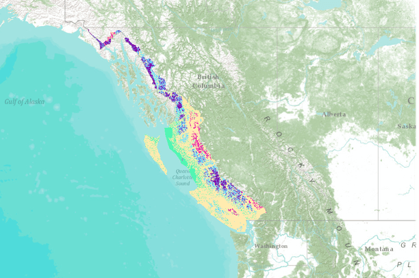 Soil kind (International System) for the North Pacific Landscape ...