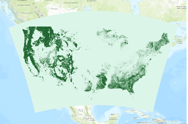 NLCD 2006 Coniferous Forest Percent Cover (2km context) | Data Basin