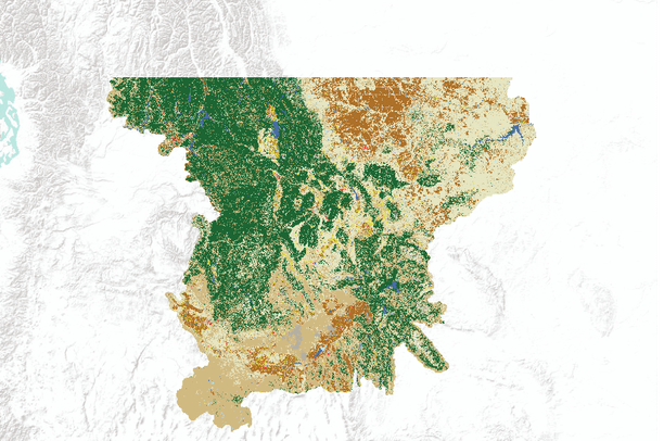 National Land Cover Database, land cover - superzone three | Data Basin