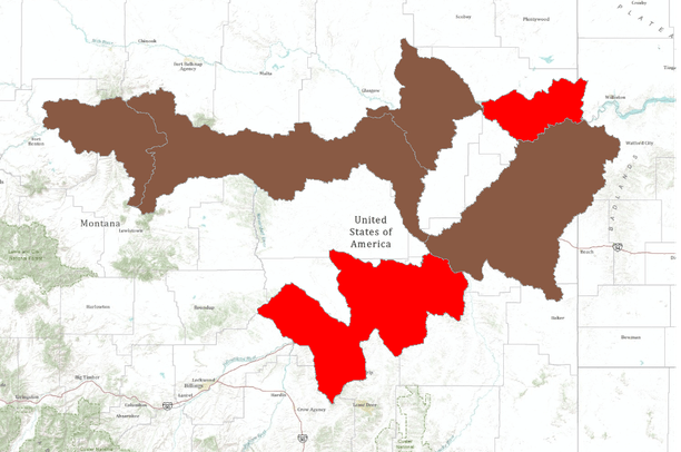 Pallid sturgeon (Scaphirhynchus albus) distribution and status by HUC8 ...