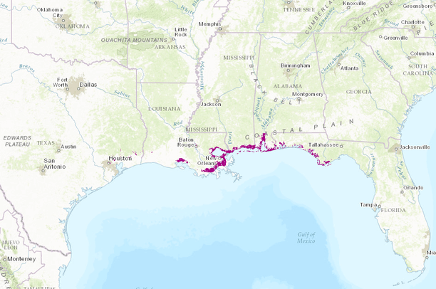 Estuarine Tidal Marsh in the GCPO Geography (any condition) [DRAFT ...