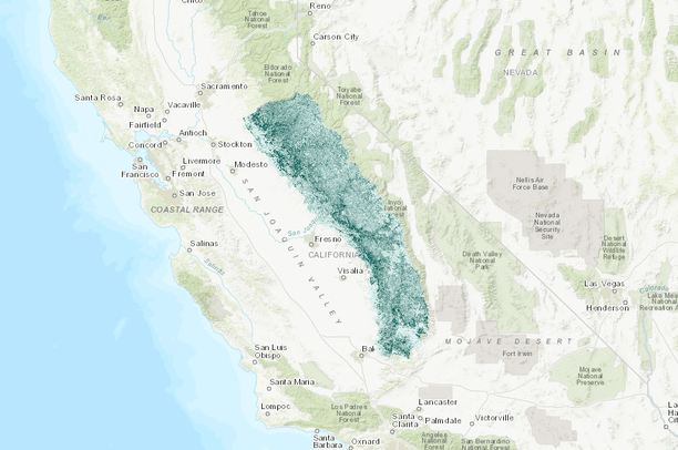 CFO Ladder Fuel Density (Summer 2020), Southern Sierra Nevada, CA ...