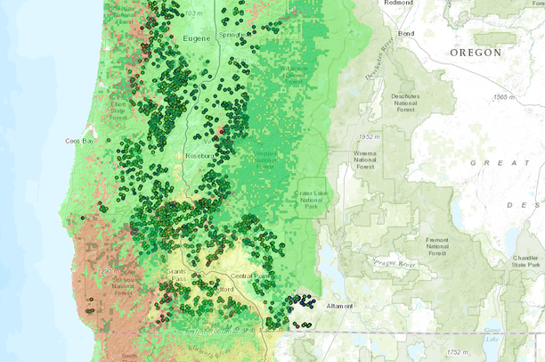 Spotted owl | Data Basin