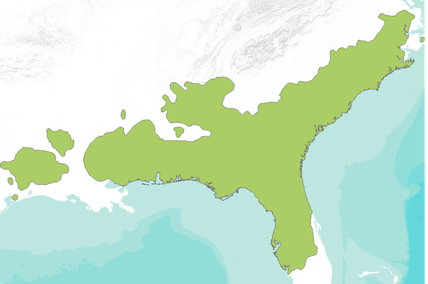 Longleaf pine (Pinus palustris) extent, North America | Data Basin
