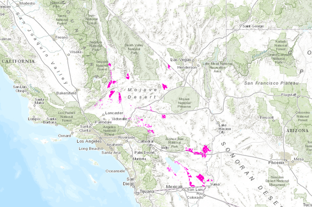 Development Focus Areas on BLM Land, Alt. 2 | Data Basin