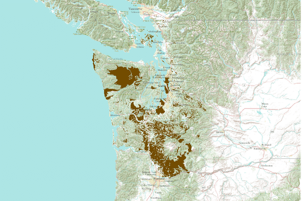 Soils with high organic content in the Washington portion of the North ...