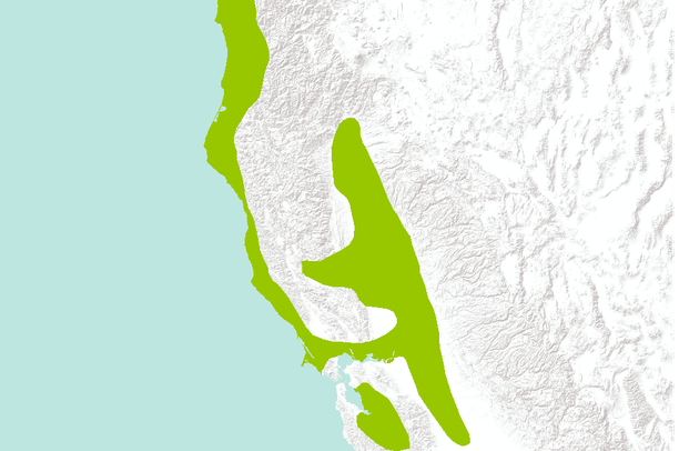 Pacfic brook lamprey (Lampetra tridentata) distribution in California ...