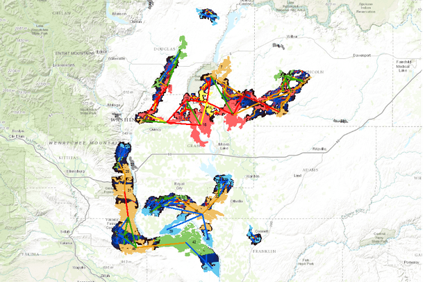 Least Chipmunk (Neotamias minimus) Network Centrality, Pinch-Points ...